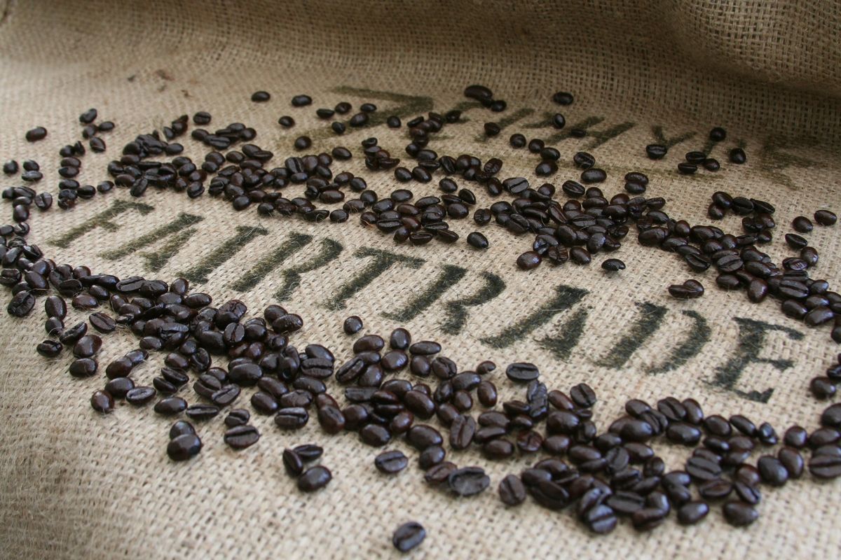 World's Best Tasting Coffee® – Gold Star Coffee