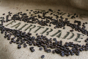 World's Best Tasting Coffee® – Gold Star Coffee